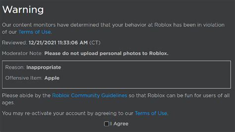 Top 10 Best Dumb Roblox Bans Gamer Journalist