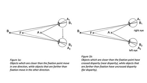 Binocular Disparity For Distance Motion Parallax For Place In My Nikolaus Troje