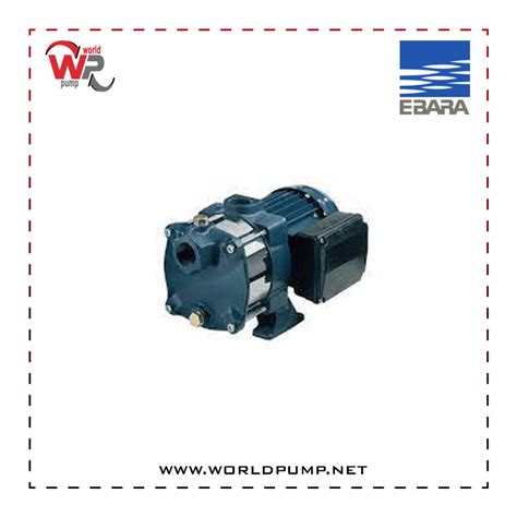 Compact Ebara Centrifugal Electric Pumps World Pump Store
