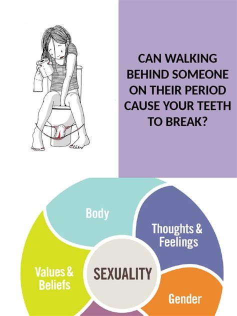 Unit 8 Reproduction Function Reproductive System Pdf Menstrual Cycle Placenta