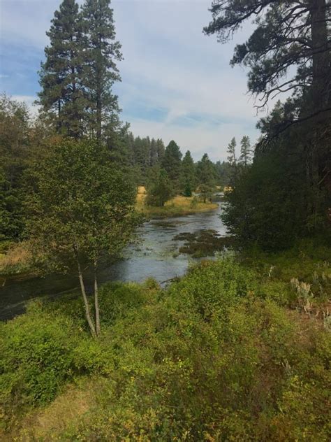 Things To Do In Oakridge Oregon — Tahoe Fabulous