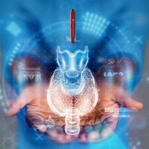 Elite Perfomance Testing And Interpretation True Athletic Fitness