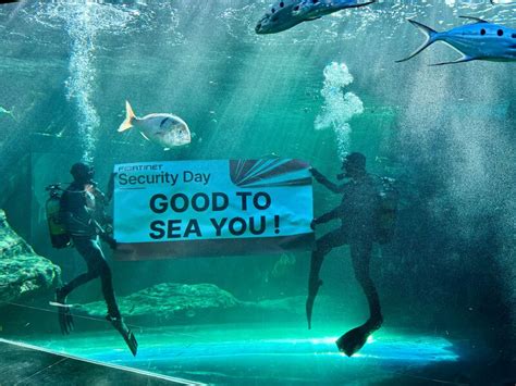 Cyber Offsec On Linkedin Thank You Fortinet And Maxtec It Was An Informative And Fun Day Indeed