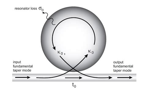 Schematic Of A Waveguide Coupled Resonator Download Scientific Diagram