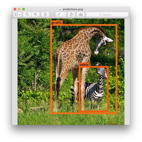 Yolo Object Detection With Opencv Using Coco Dataset Youtube Images