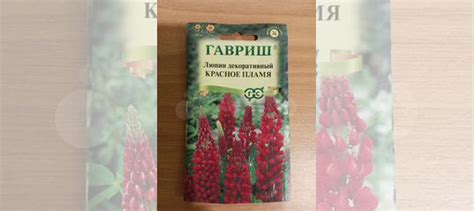 Люпин рассада купить в Санкт-Петербурге | Товары для дома и дачи | Авито