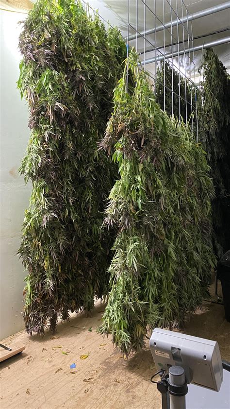 Finally Got To Big Girtha And The Girls Today A Happy And Sad Day All At The Same Time Girtha