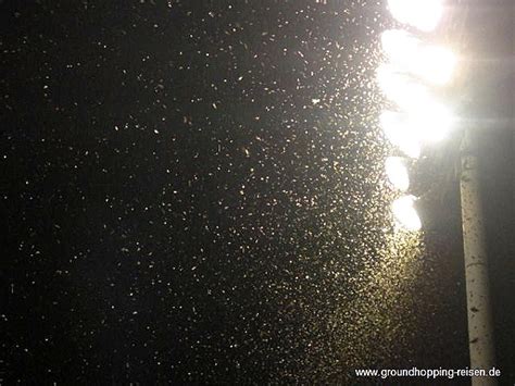 Estadio Independencia Stadion In Estelí
