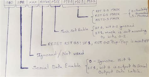 Set Interrupt Mask Sim Instruction