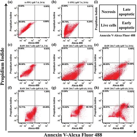 Comparative Flow Cytometric Dot Plot Quadrant Plots Of Annexin V Pi