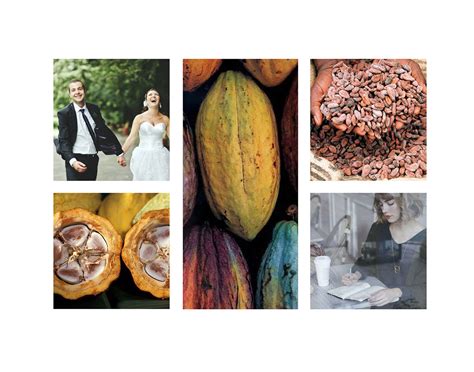 Hoco Chocolate On Behance