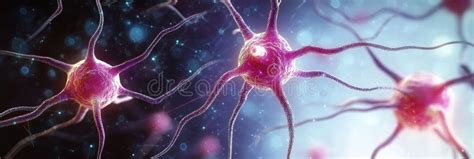 Microscopic View Of Active Neurons Firing Synapses In The Human Brain Neural Activity Stock