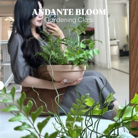 강남 플로리스트학원 안단테블룸ㅣ취미에서 진로까지 관엽가드닝 수업 후기 네이버 블로그
