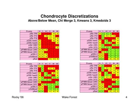 Ppt The Role Of Discretization In Modeling Signal Transduction