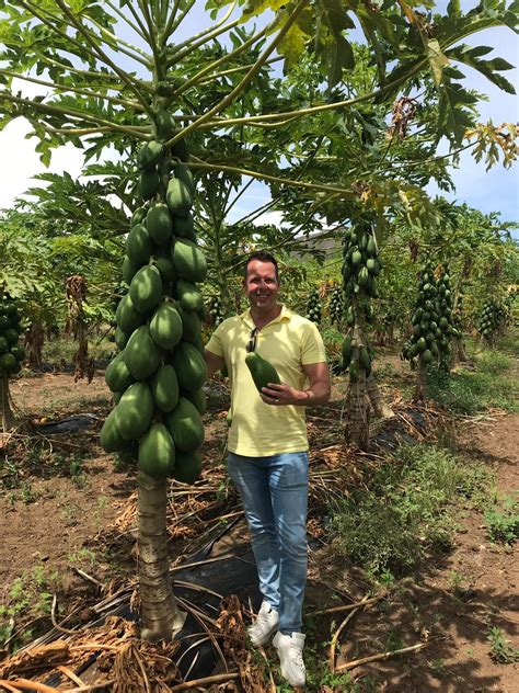 Edwin Van Leeuwen On Linkedin Plezierophetwerk Inspiring Yex Discovered 12 Comments