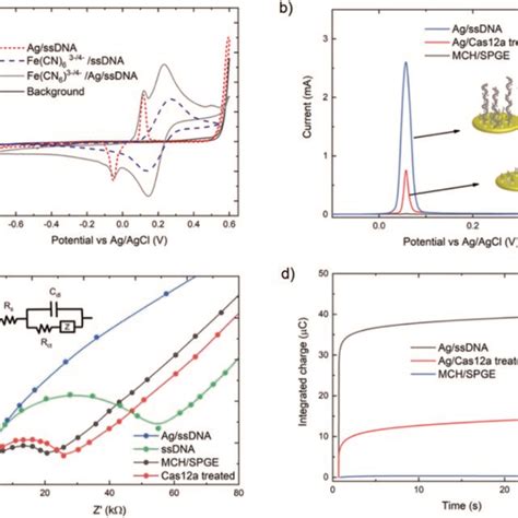 Comparison Of Mch Modified Ssdna Modified And Cas Treated Electrodes Download Scientific