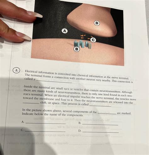 Solved Electrical Information Is Converted Into Chemical Chegg Com