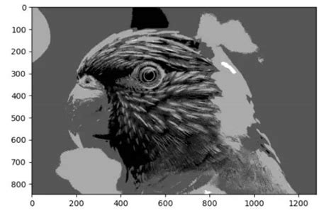 Rgb 与 Bgr 颜色深度、像素和字节之间的关系 Csdn博客