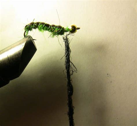 Caddis Larva Fly Pattern At Owen Griver Blog