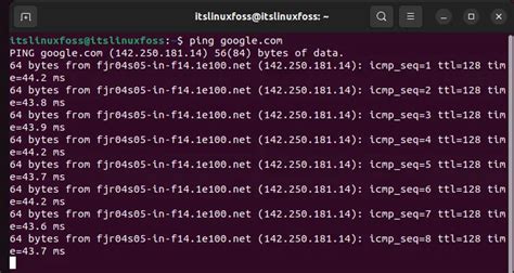 How To Fix The “temporary Failure In Name Resolution” Error Its Linux