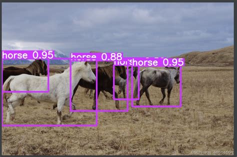 Yolov9教程：从源码到部署，详解环境配置与目标检测 Csdn博客