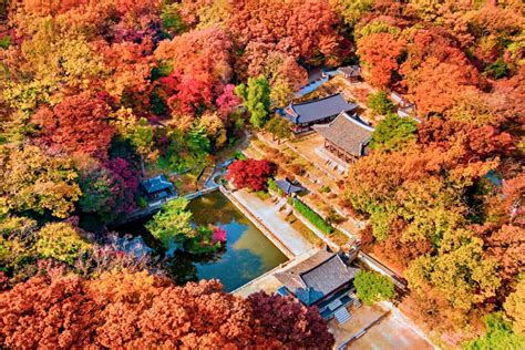 사방이 단풍 사진 찍기 너무 좋아 가을 인생사진 남기러 떠나는 수도권 여행지