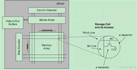 科普文：软件架构linux系列之【从硬件角度了解内存dram和ddr5】linux Ddr Csdn博客
