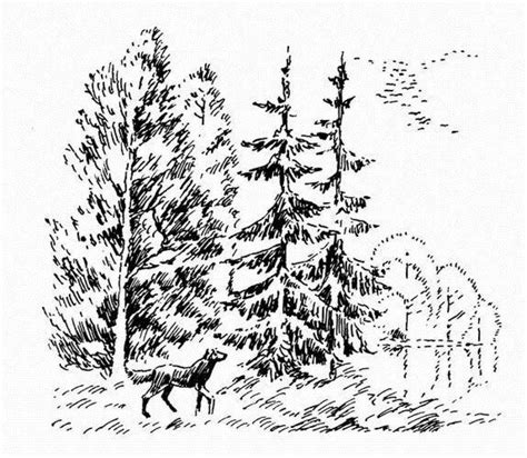 Рисунки кладовая солнца