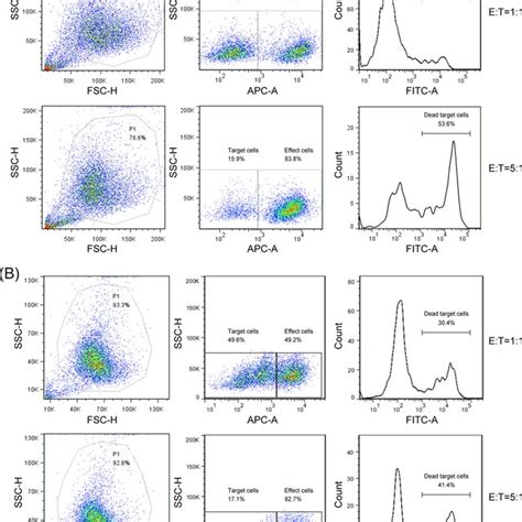 The Effects Of Sytox Green Annexin V‐fitc Single Or Double Staining On Download Scientific