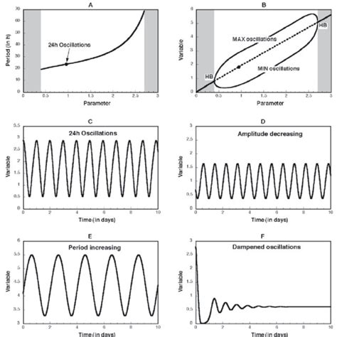 The Transcription Translation Feedback Loop Ttfl A Clock Gene Is Download Scientific Diagram