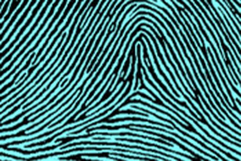 8 Types Of Fingerprints And How Common They Are