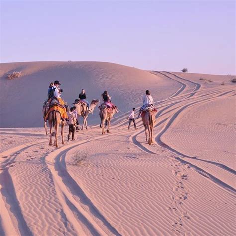 Jaisalmer Desert Safari Camel Safari Rajasthan Royals Holidays