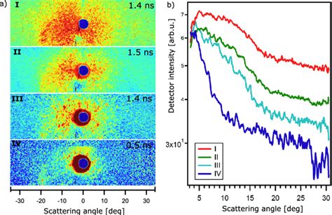 A Characteristic Speckle Patterns Measured With Soft X Ray Fel