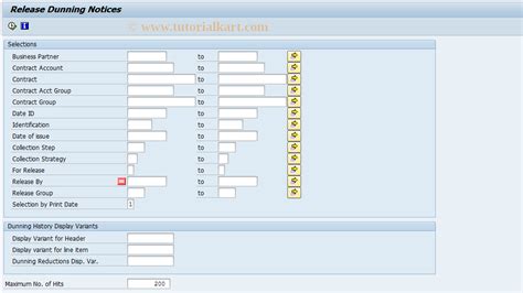 FPM RELEASE SAP Tcode Release Dunning Notices