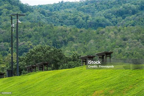 공원의 푸른 잔디에 두 개의 의자 자연 숲에있는 Ang Kaew Chiang Mai University의 생생한 음색 산은 하얀 구름으로 봄 흐린 하늘 배경을 바라 봅니다