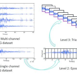 The Multi Level Of EEG Dataset Download Scientific Diagram