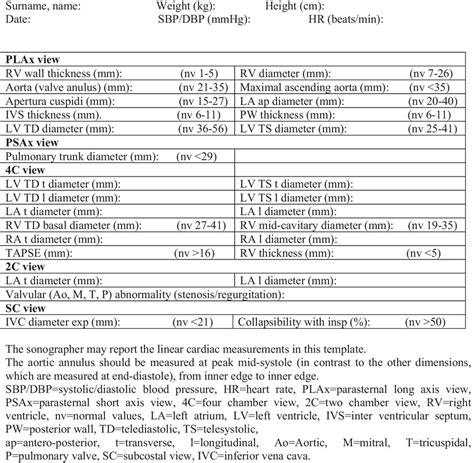 Bedside Heart Echoscopy Report Download Scientific Diagram