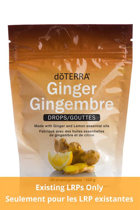 Ginger Oil Doterra Essential Oils