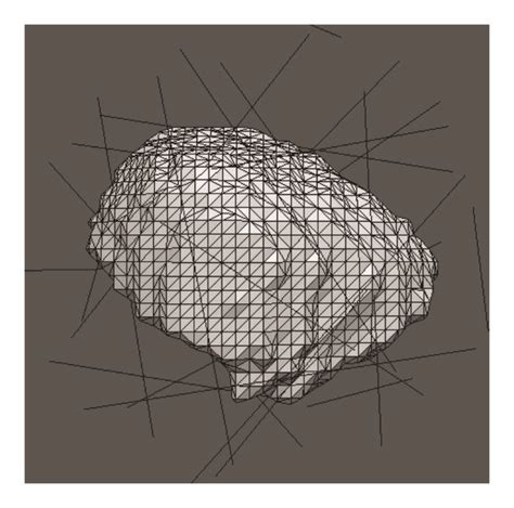 Illustration Of The Surface Area Estimation Methods A The Marching Download Scientific