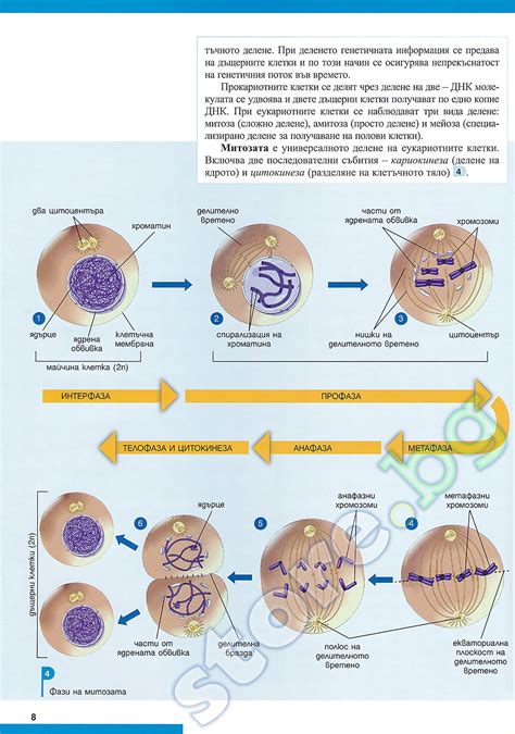 Учебник по Биология и здравно образование за 10 клас Педагог 6 Store Bg