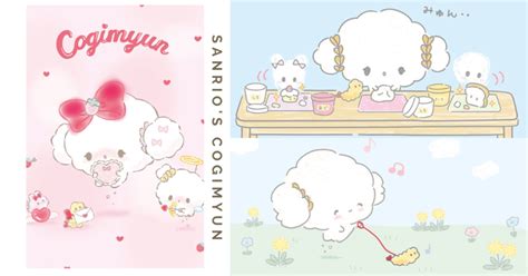 Cogimyun 9 Facts About This Cute Sanrio Character