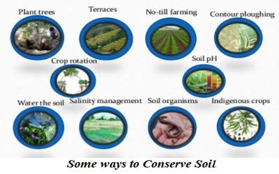Soil Conservation QS Study
