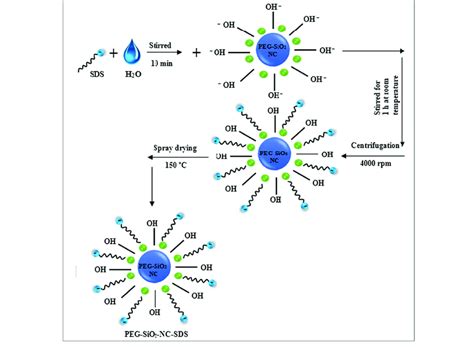 Surface Modification Of Peg Sio 2 Nc By Sds Download Scientific Diagram
