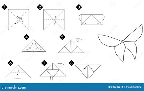 Step By Step Instructions Origami Butterfly Vector Illustration