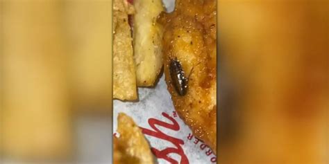Woman Claims Cockroach Was Cooked Into Food At Fla Restaurant