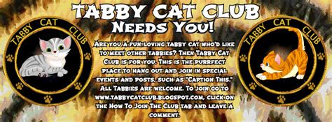 Tabby Cat Poem