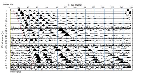Representative Of The Seismic Arrival Signal In A Wiggle Form And