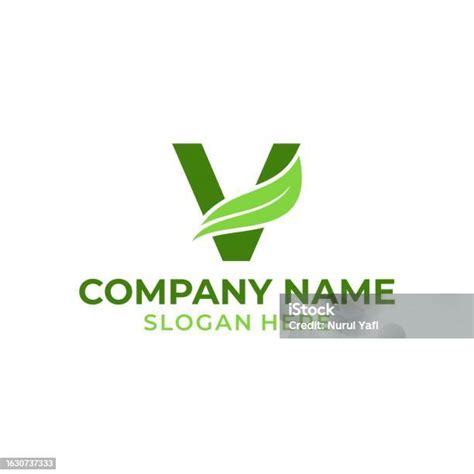 리프 벡터가 있는 문자 V 로고 V 리프 로고 템플릿 리프 로고 이니셜 0명에 대한 스톡 벡터 아트 및 기타 이미지 0명