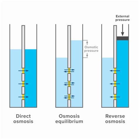 Does Reverse Osmosis Remove Sodium From Water At Oscar Loveless Blog
