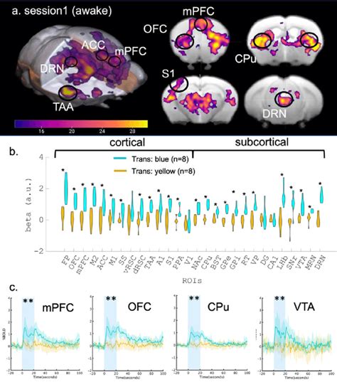 A Functional Map Of Optogenetic Illumination A Functional Map Was